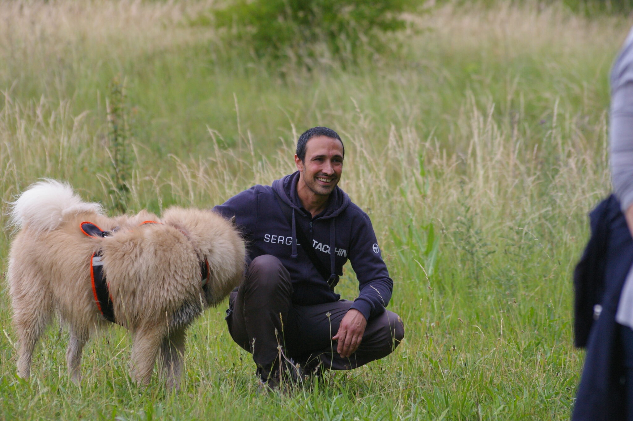 Adopter un animal auprès d’un particulier : précautions et astuces pour ...