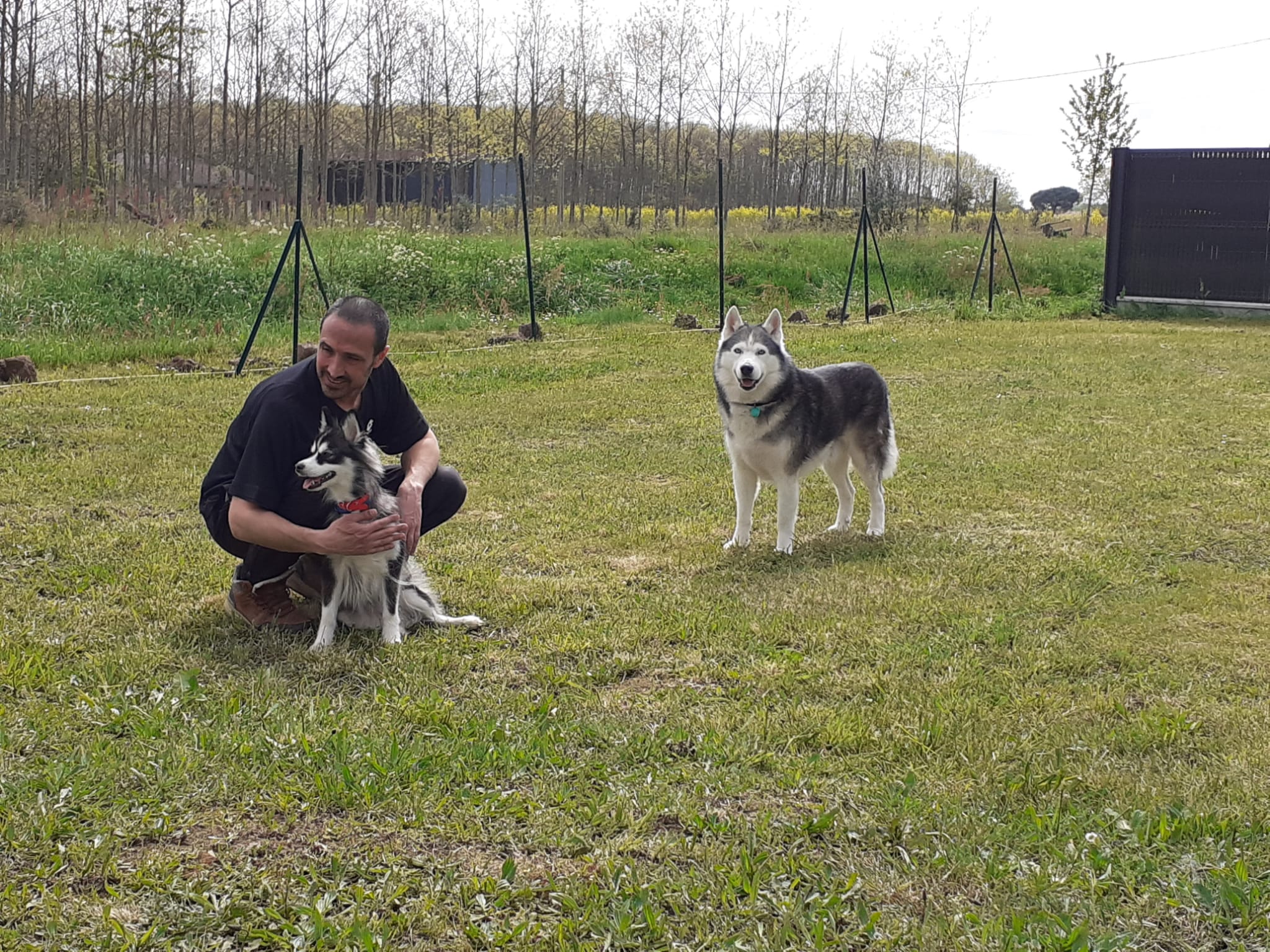 Adopter un animal : Éleveur, particulier ou refuge ? Comparatif des ...